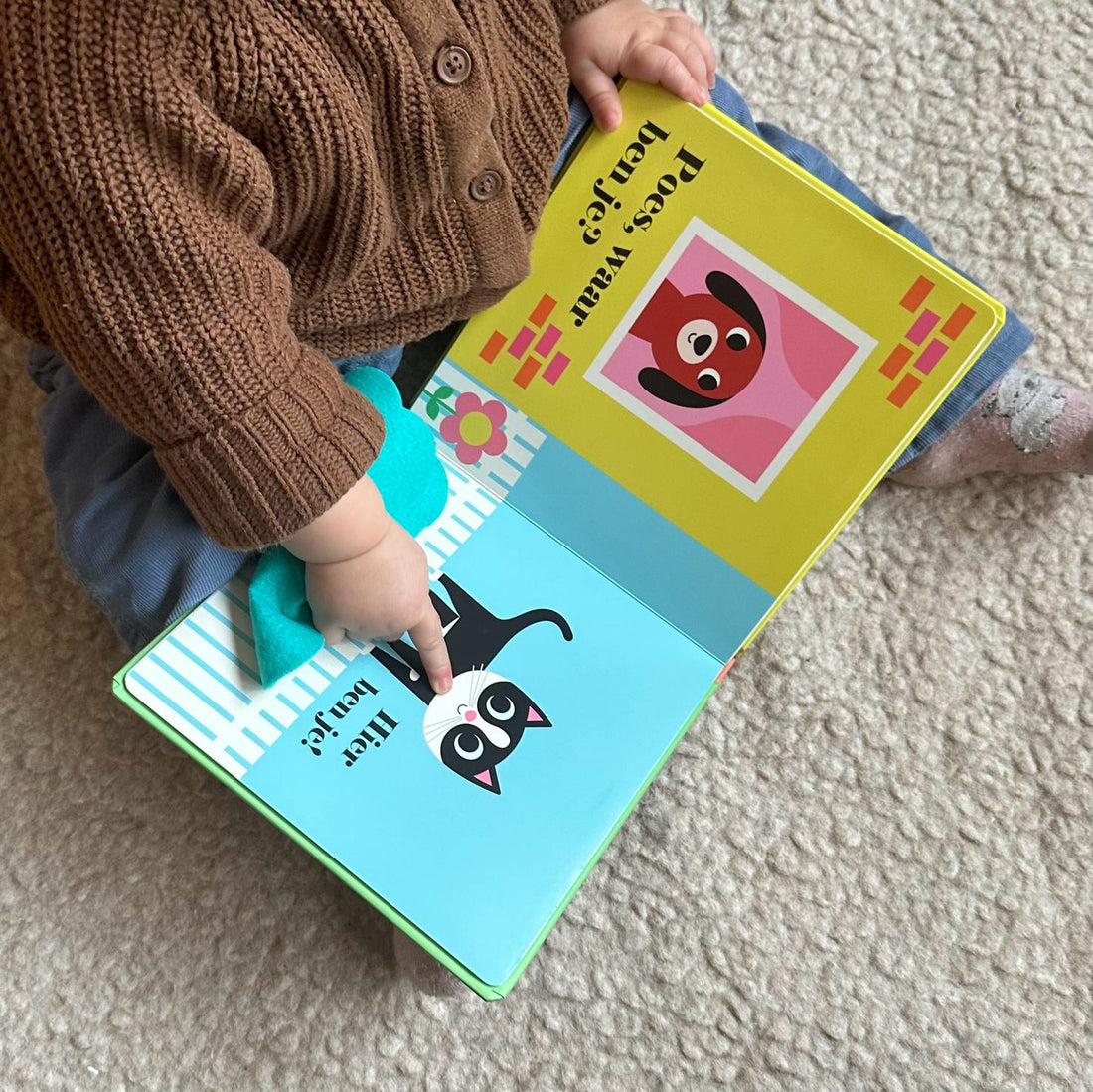 Toet toet studio – toet toet studio